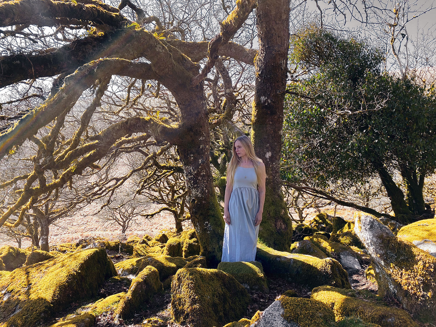 Alison Guest - Energy Healing & Aromatherapy Massage : Alison Guest ...